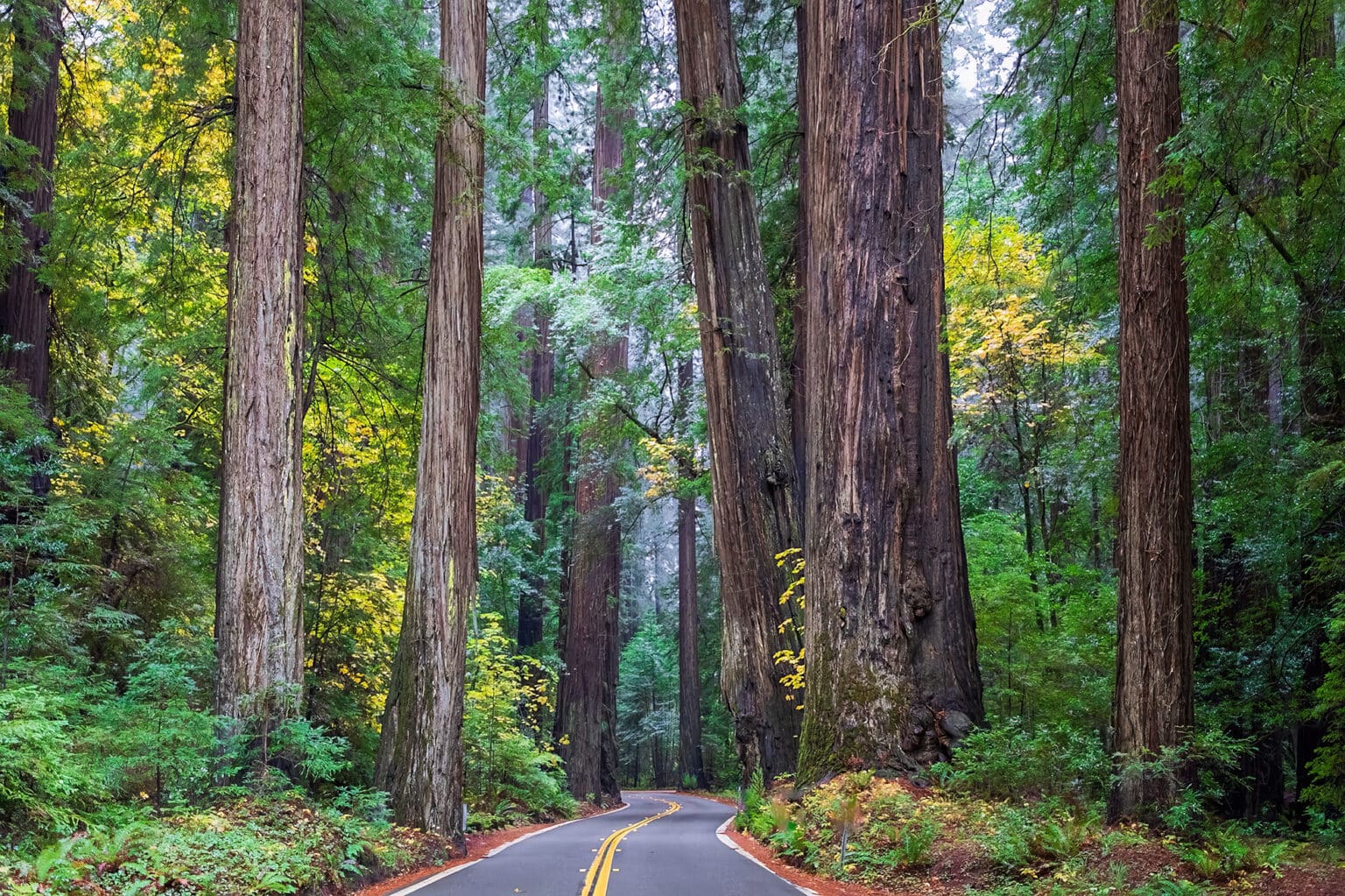 Recruitment • SoHum Health